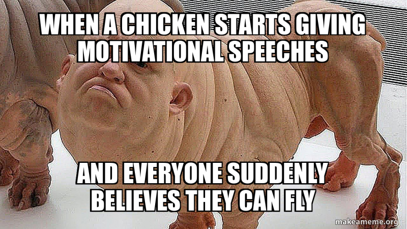 When a chicken starts giving motivational speeches And everyone ...