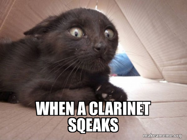When a clarinet sqeaks - Schitzo Cat Meme Generator