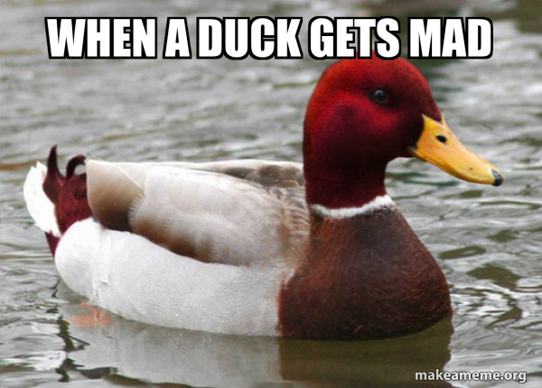 when a duck gets mad - Malicious Advice Mallard Meme Generator