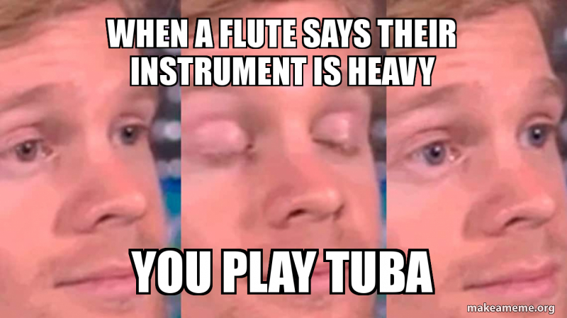 When a flute says their instrument is heavy You play tuba Meme Generator