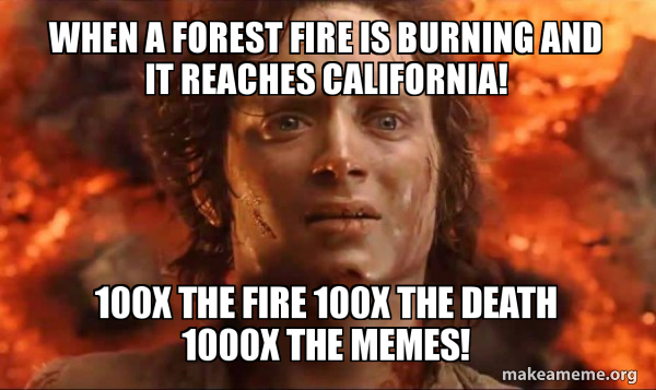 When a forest fire is burning and it reaches california! 100x the fire ...