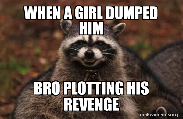 When a girl dumped him Bro plotting his revenge - Evil Plotting Raccoon ...