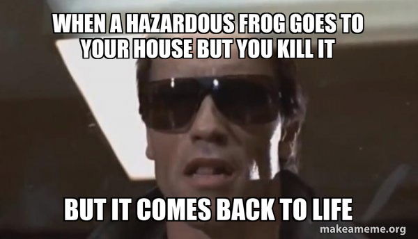when a hazardous frog goes to your house but you kill it BUT IT COMES ...