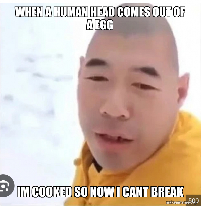 When a human Head comes out of a egg im cooked so now i cant break Meme ...