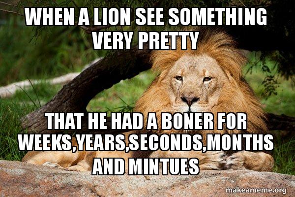 Funny Lion Memes