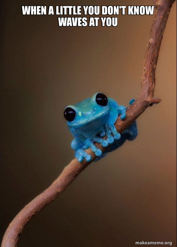 When a little you don't know waves at you - Small Fact Frog Meme Generator