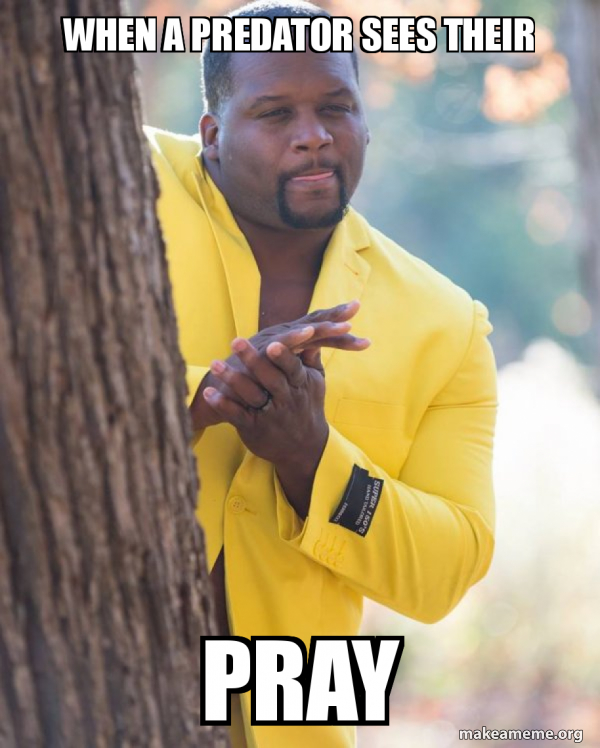 Meme Predatore Meme Zee Predator Catches In 2024