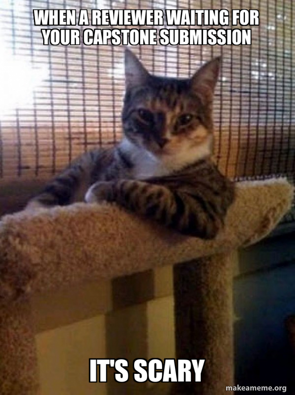 When a reviewer waiting for your Capstone submission It's scary - The ...