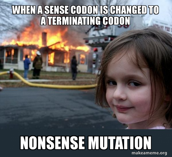 when a sense codon is changed to a terminating codon nonsense mutation ...