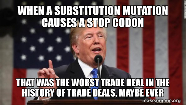 when a substitution mutation causes a stop codon that was the worst ...