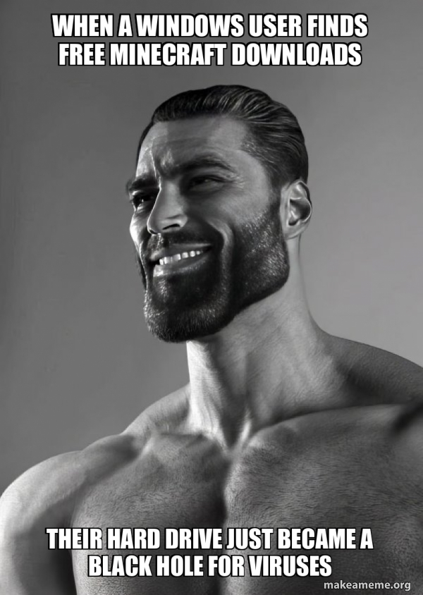 When a Windows user finds free Minecraft downloads Their hard drive ...