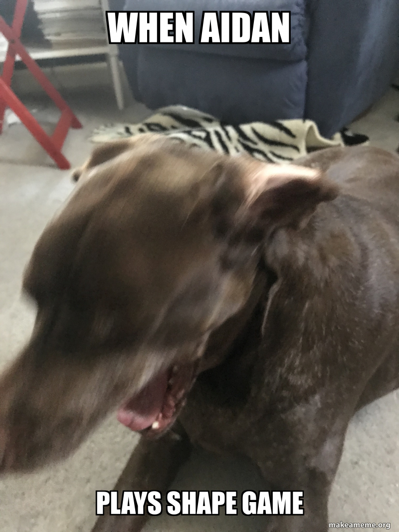 WHEN AIDAN PLAYS SHAPE GAME Meme Generator