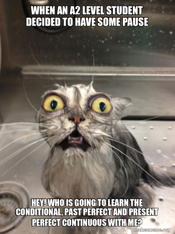 When an A2 level student decided to have some pause Hey! Who is going ...