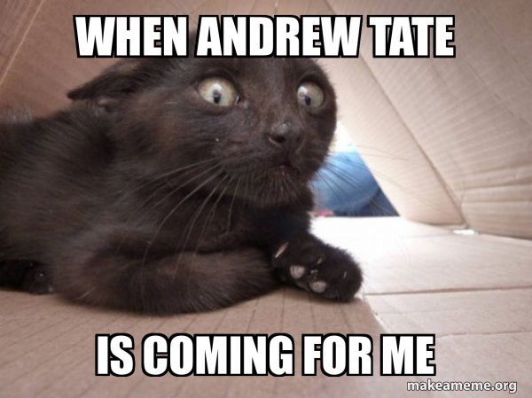 WHEN ANDREW TATE IS COMING FOR ME - Schitzo Cat Meme Generator