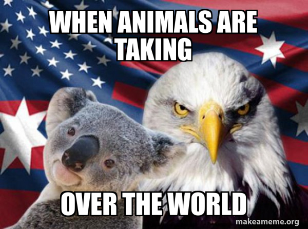 When animals are taking over the world - Ameristralia Meme Generator