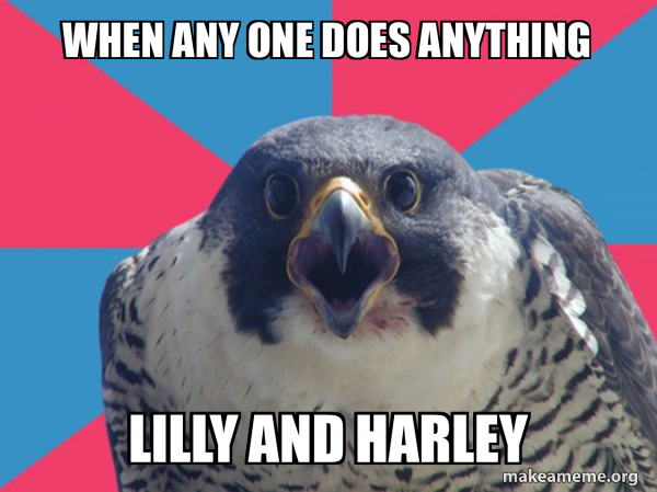 when any one does anything Lilly and Harley - Millennial Falcon Meme ...