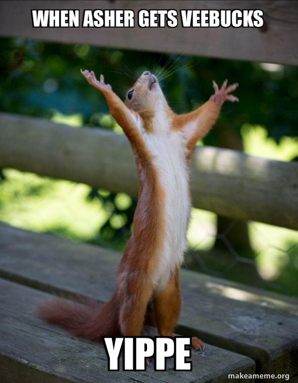 when Asher gets veebucks yippe - Happy Squirrel Meme Generator