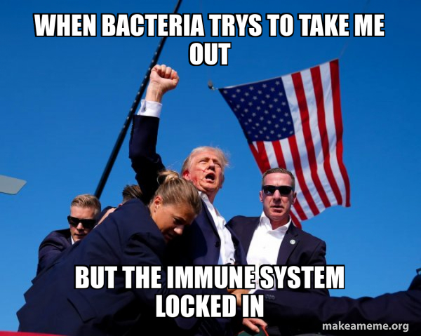 When bacteria trys to take me out But the immune system locked in ...