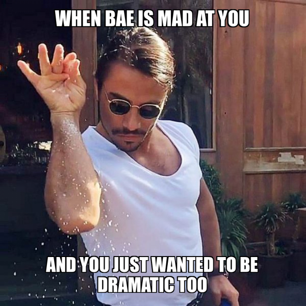 When bae is mad at you And you just wanted to be dramatic too - SaltBae ...