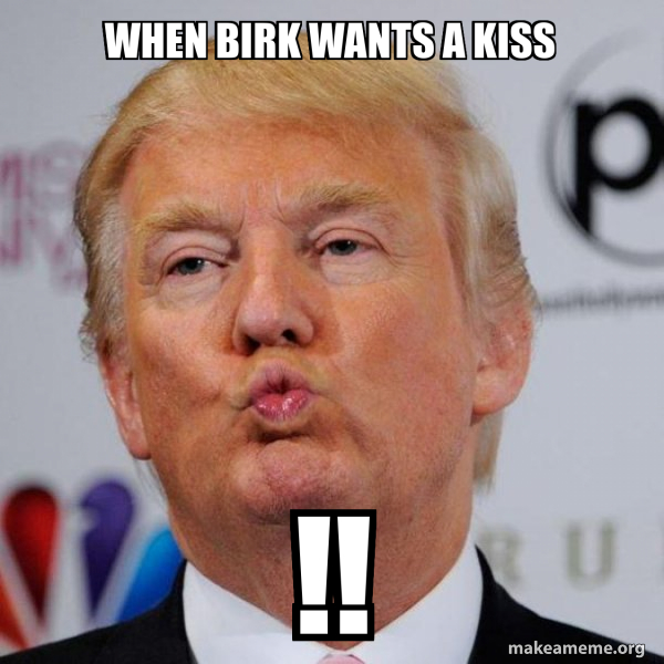 When birk wants a kiss !! - Donald Trump Kissing Meme Generator