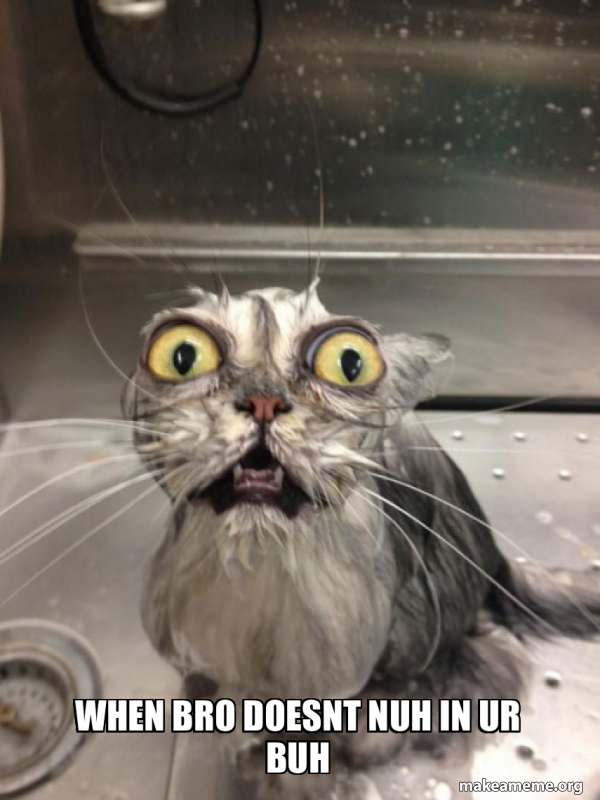 When bro doesnt nuh in ur buh - Cat bath Meme Generator