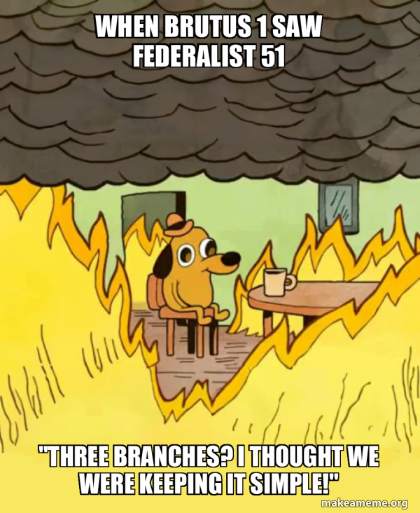 When Brutus 1 saw Federalist 51 "Three branches? I thought we were ...