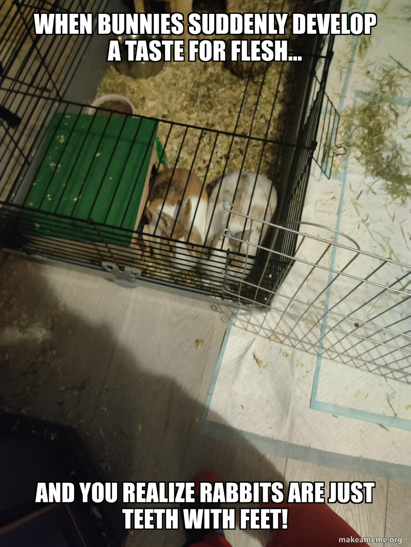 When bunnies suddenly develop a taste for flesh... And you realize ...