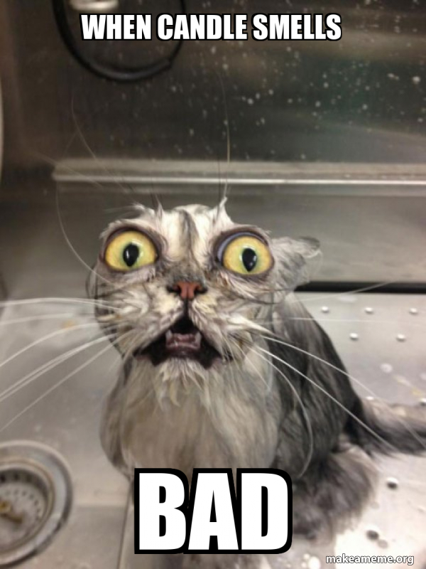 when candle smells bad - Cat bath Meme Generator