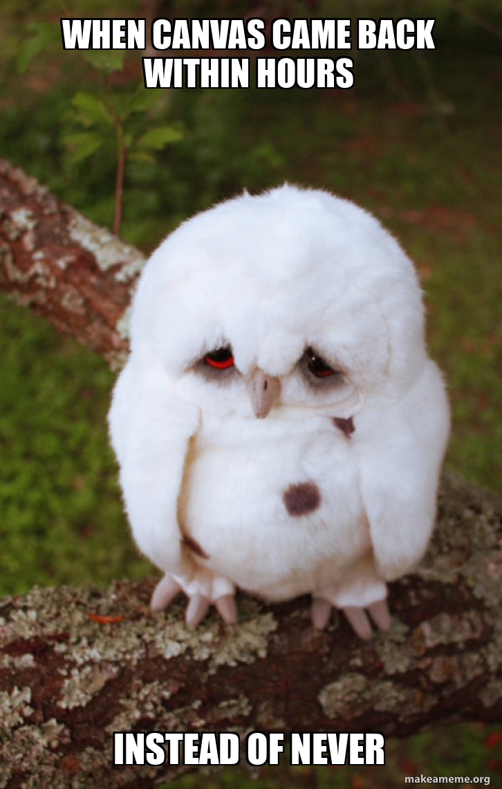 when canvas came back within hours instead of never - Sad Owl Meme ...