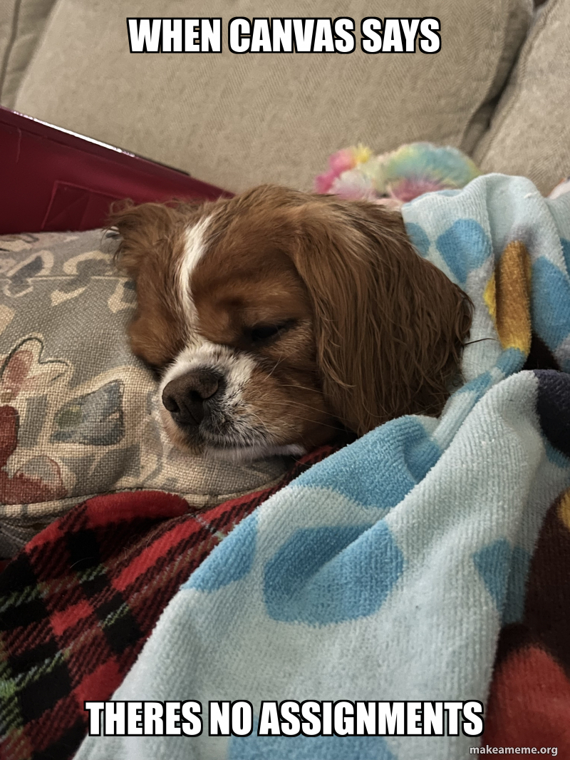 When Canvas Says Theres no assignments Meme Generator