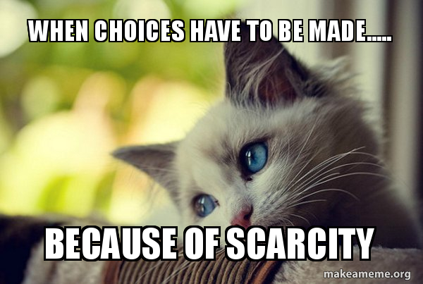 when choices have to be made..... because of scarcity - First World Cat ...