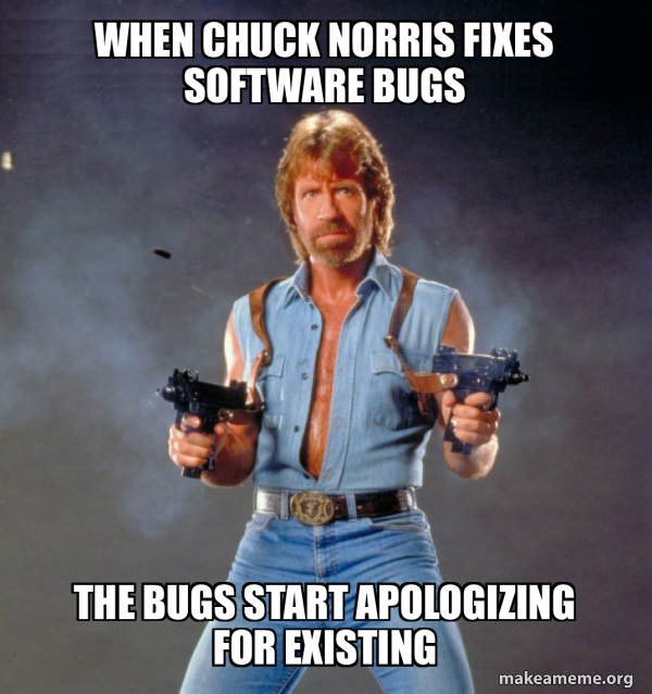 When Chuck Norris fixes software bugs The bugs start apologizing for existing - Chuck Norris ...