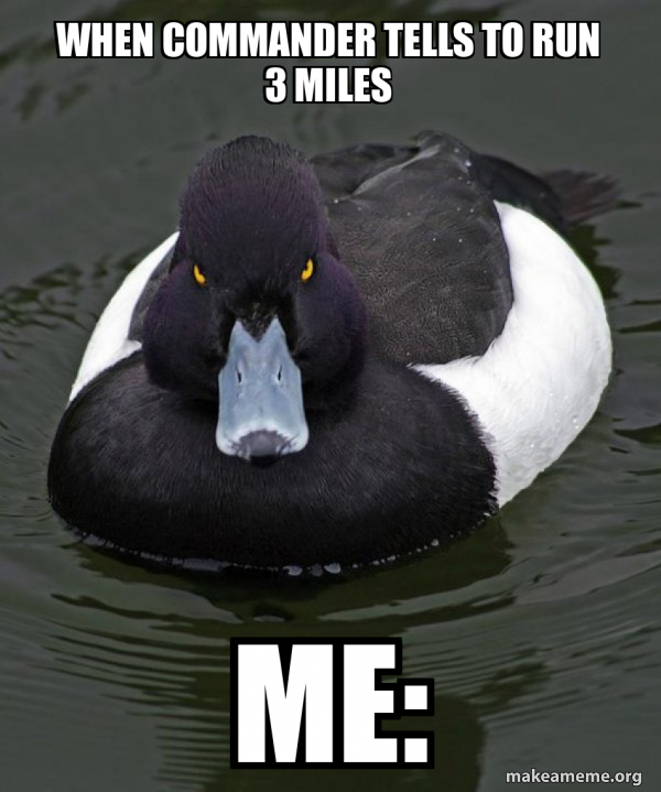 When commander tells to run 3 miles Me: - Revenge Duck ( Angry Advice ...