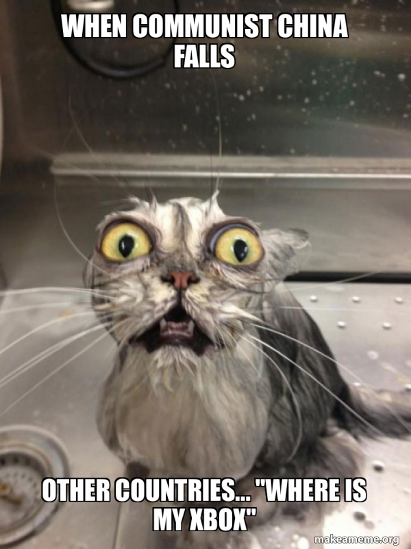 when communist china falls other countries... "Where is my Xbox" - Cat ...