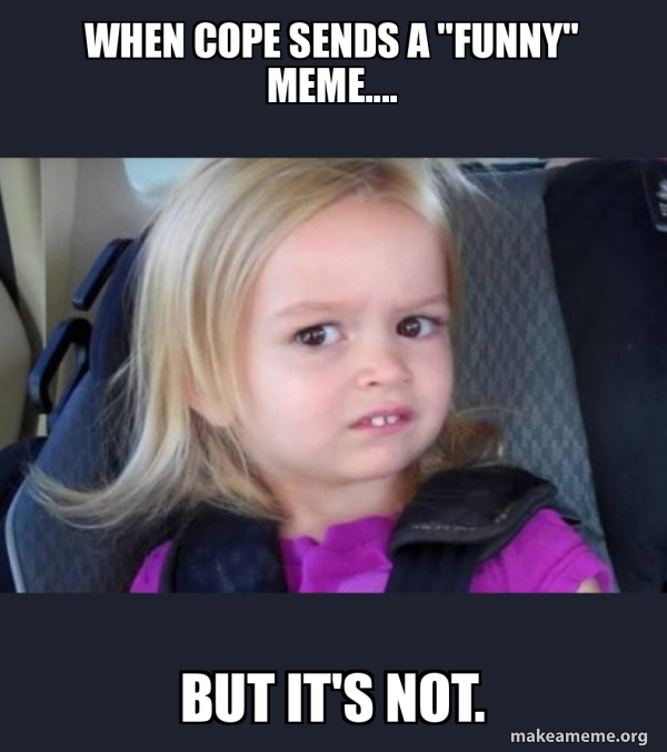 When Cope sends a "funny" meme.... but it's not. - Side-Eyes Chloe Meme ...