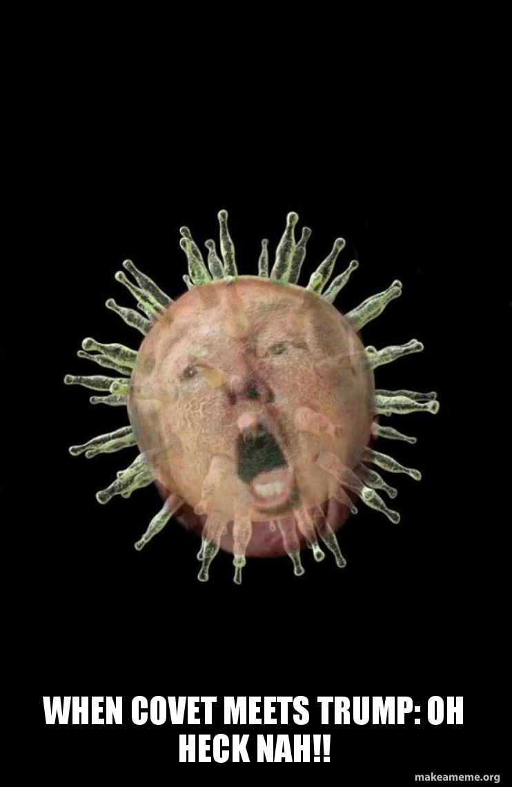 When Covet meets Trump: OH HECK NAH!! - Trumpvirus TrumpPandemic Meme ...