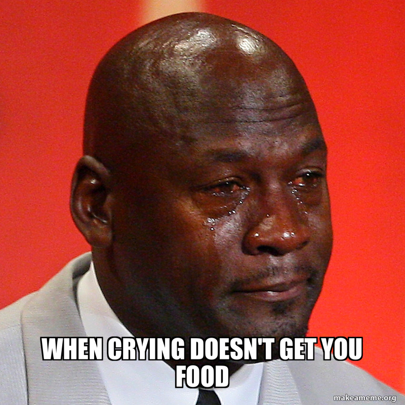 when crying doesn't get you food Meme Generator