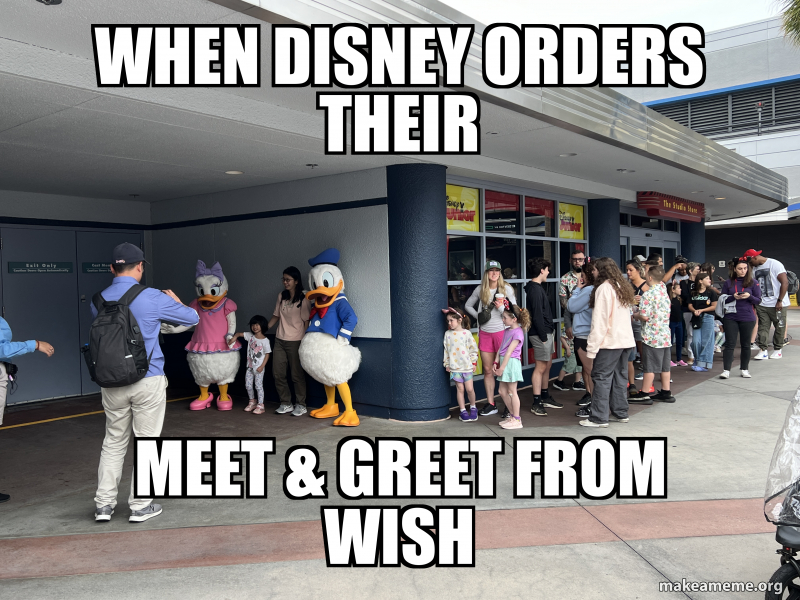 When disney orders their Meet & greet from wish Meme Generator