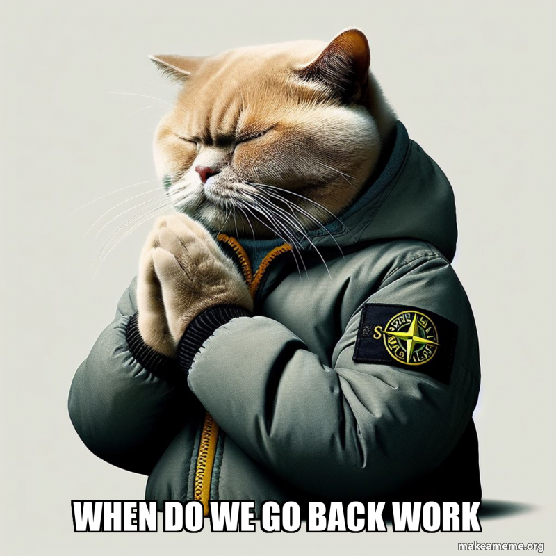 When do we go back work Meme Generator