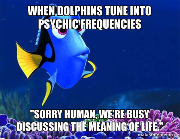 When dolphins tune into psychic frequencies "Sorry human, we're busy ...
