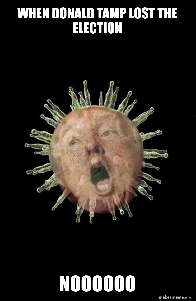 when Donald tamp lost the election NOOOOOO - Trumpvirus TrumpPandemic ...