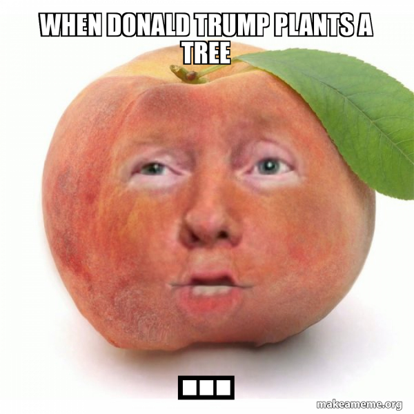 when donald trump plants a tree ... - Impeached Donald Trump Meme Generator