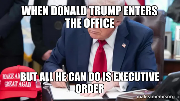 When Donald Trump enters the office But all he can do is executive ...