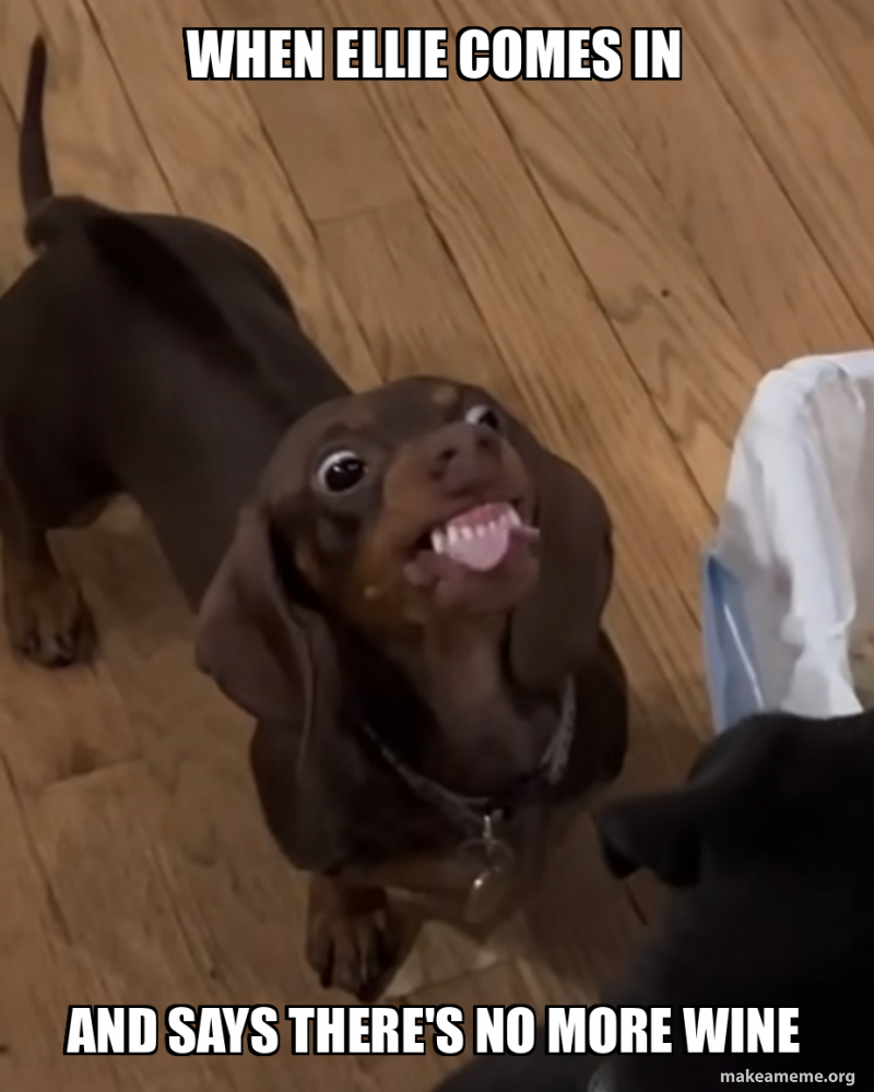 When Ellie Comes In And Says Theres No More Wine Meme Generator