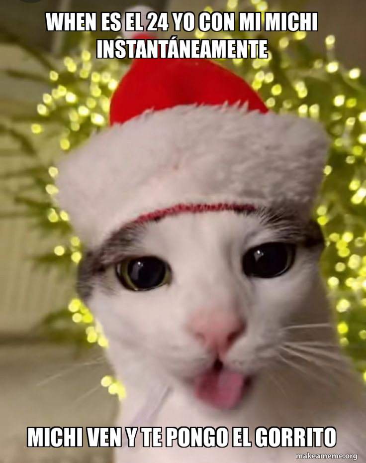 When es el 24 yo con mi michi instantáneamente Michi ven y te pongo el ...