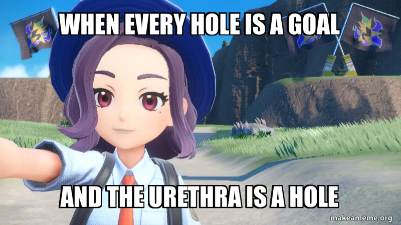When every hole is a goal And the urethra is a hole Meme Generator