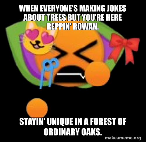 When everyone's making jokes about trees but you're here reppin' Rowan ...