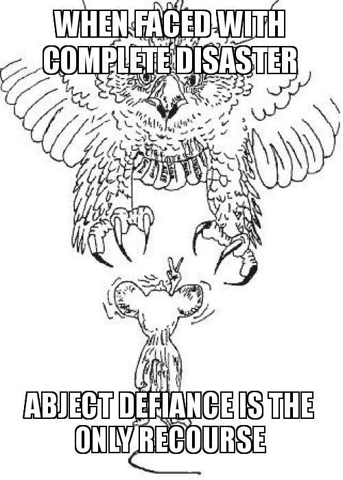 Perspective - Hide5 Politics