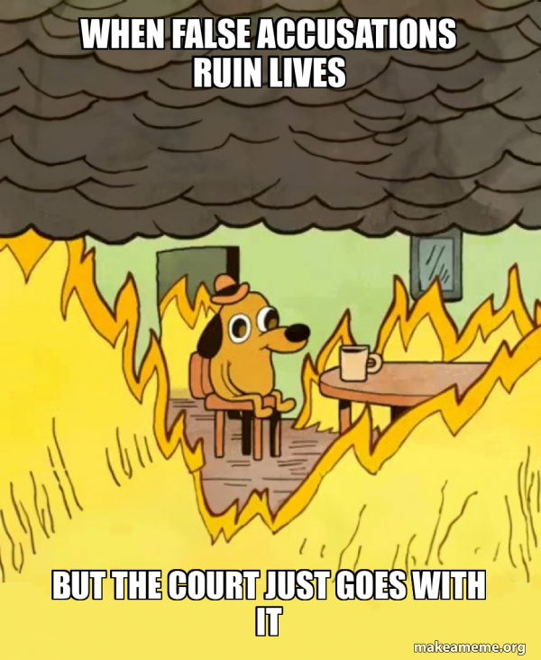 When false accusations ruin lives but the court just goes with it ...