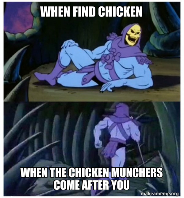 when find chicken When the chicken munchers come after you - Skeletor ...